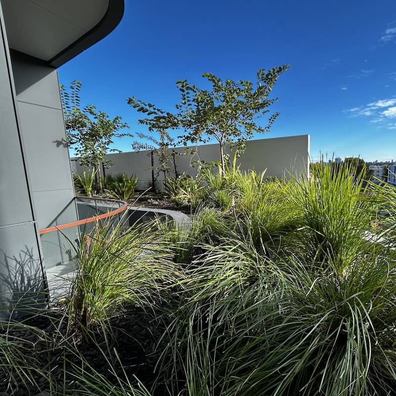 Green Roof Construction • Green Roof | Perth Materials Blowing
