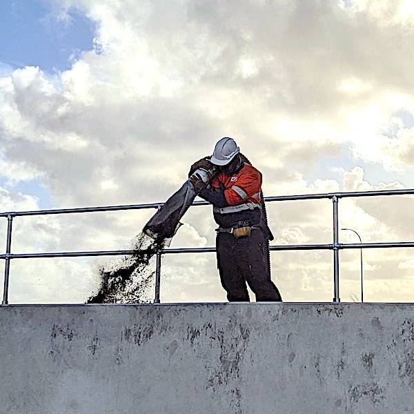 Green Roof Construction • Green Roof | Perth Materials Blowing