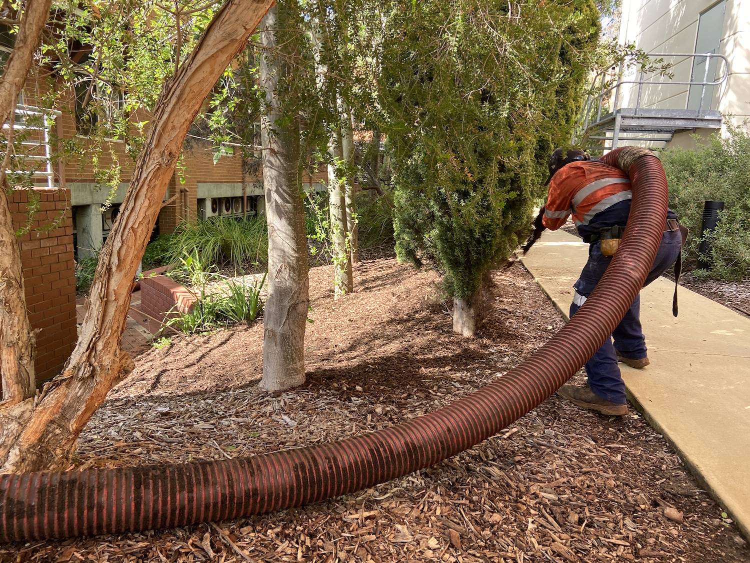 Strata Garden Maintenance • PMB • Perth Materials Blowing
