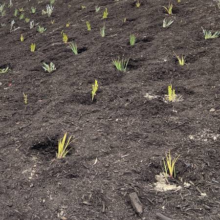 Batter Slope • Road Batter • PMB | Perth Materials Blowing
