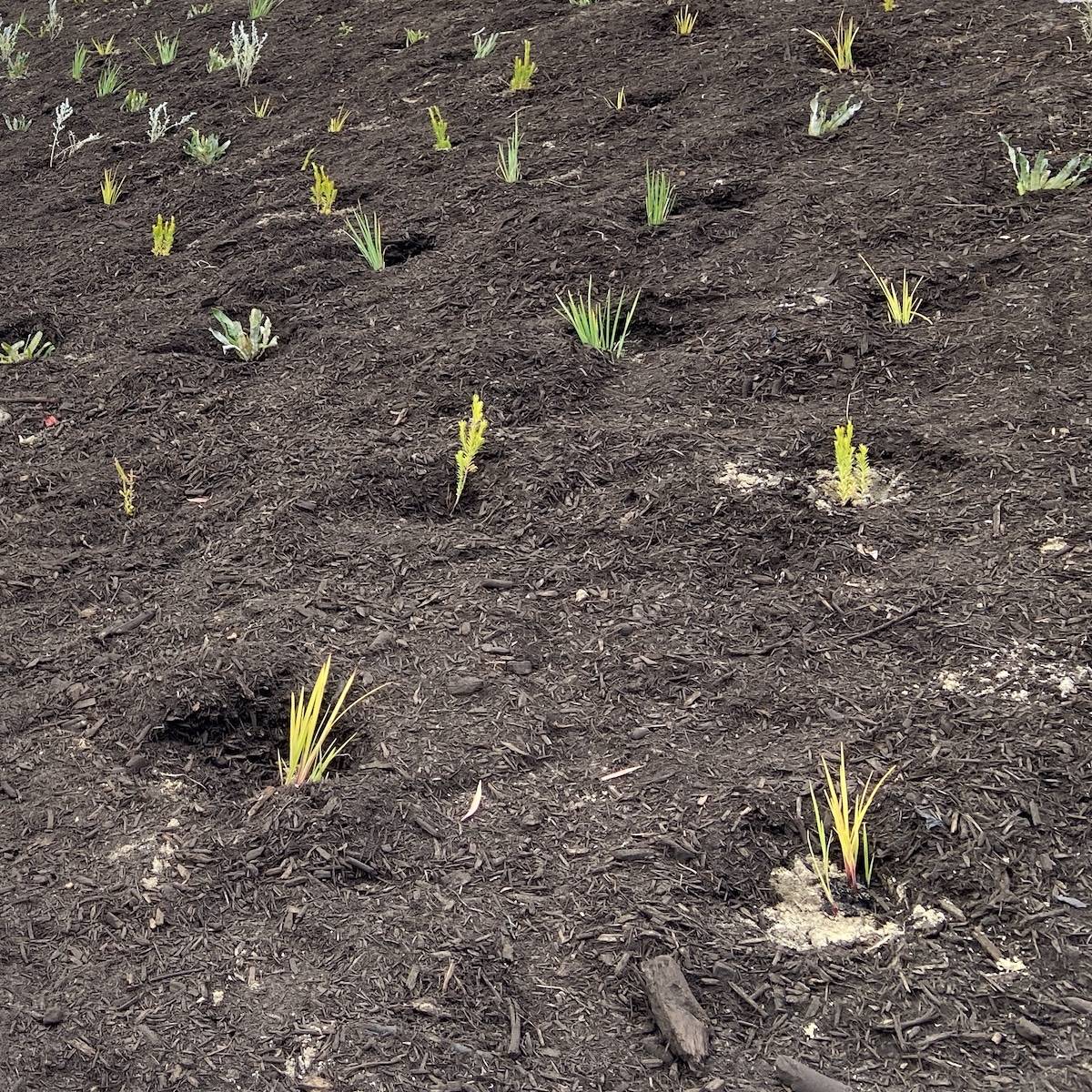 Batter Slope • Road Batter • PMB | Perth Materials Blowing